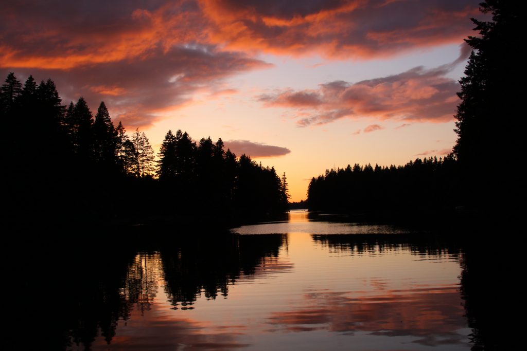 Lacamas Lake Shoreline - Wildlife Recreation and Coalition