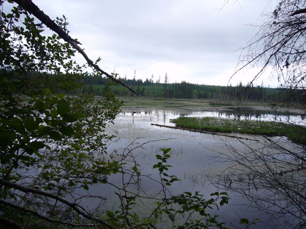 Central Kitsap Greenway - Wildlife Recreation and Coalition