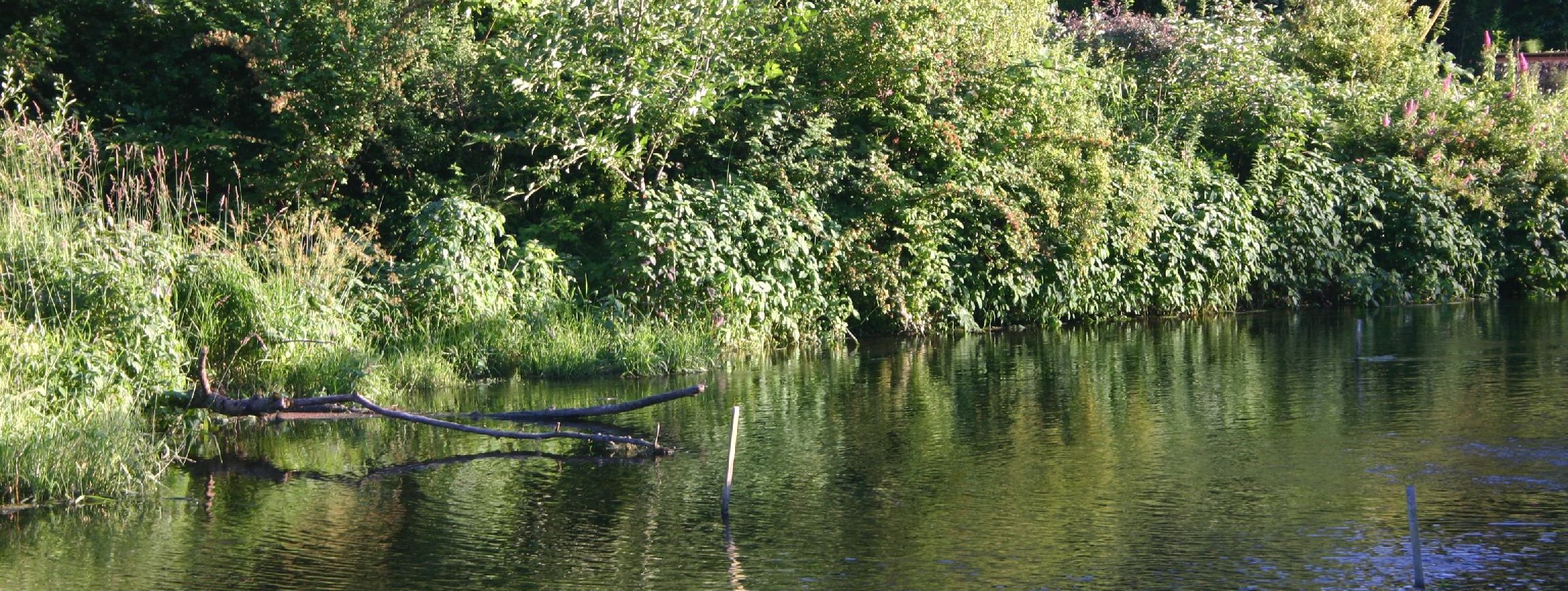 PRISM_Evergreen Fisheries Park Phase 2(1) - Wildlife Recreation and Coalition