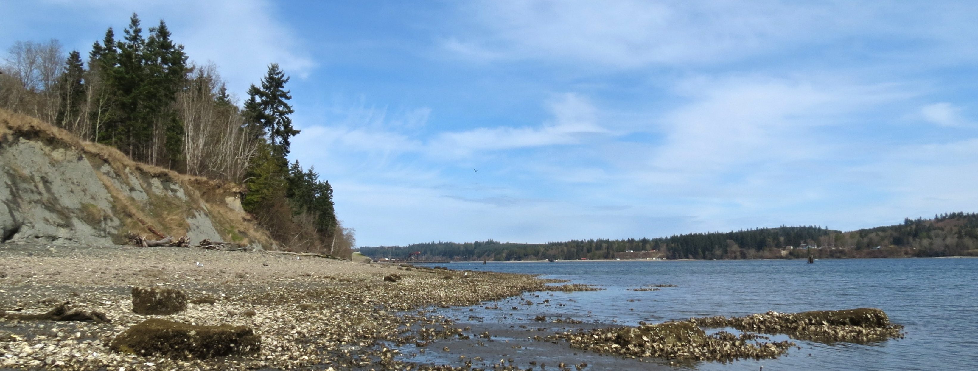 Kitsap Forest and Bay Project – Shoreline Access - Wildlife Recreation ...