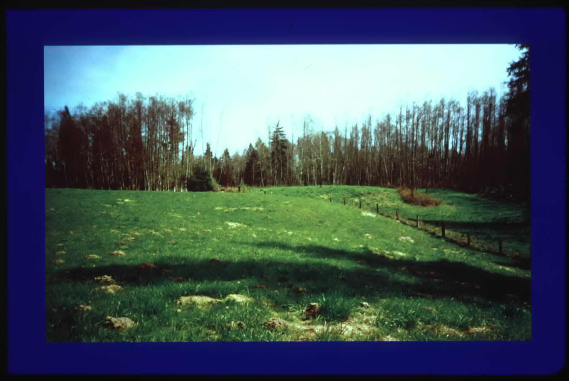 PRISM_Pleasant Glade Park - Wildlife Recreation and Coalition