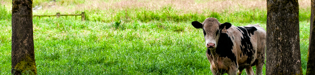 Black River Ranch - Wildlife Recreation and Coalition