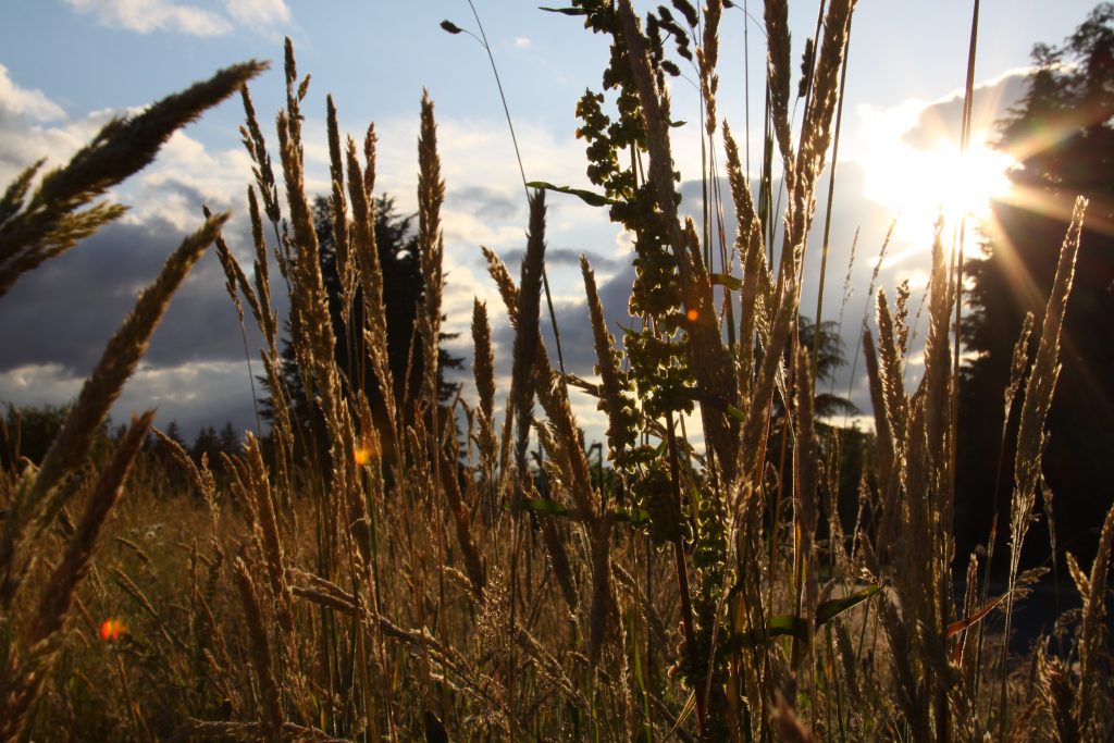 Lacamas Prairie Natural Area 2016 - Wildlife Recreation and Coalition