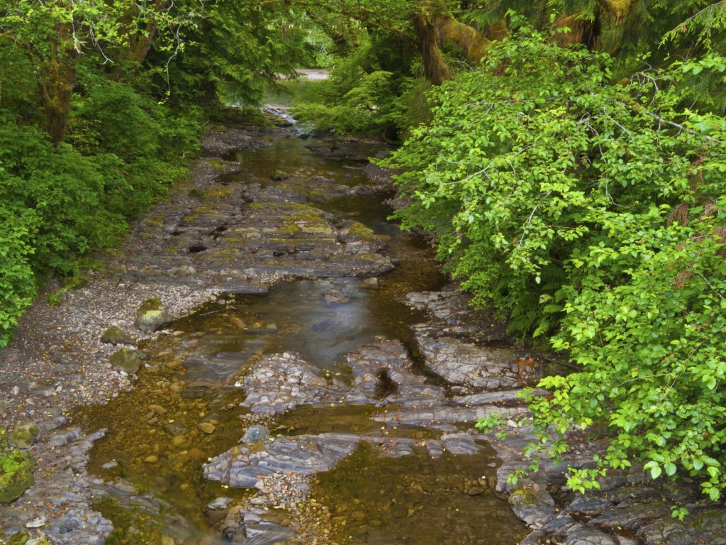 Hurst Creek - Wildlife Recreation and Coalition