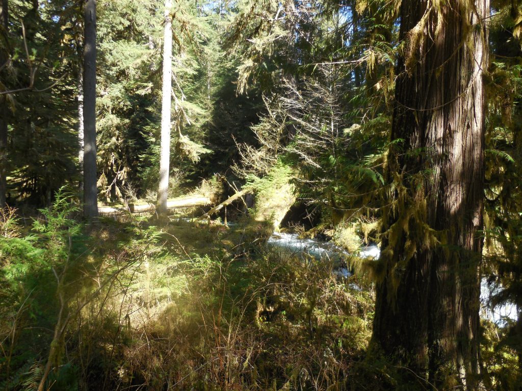 Merrill Lake Natural Area - Wildlife Recreation and Coalition