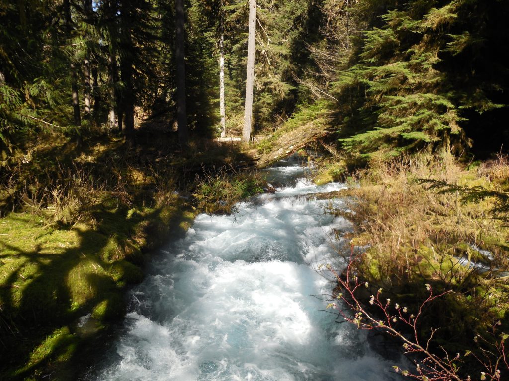 Merrill Lake Natural Area - Wildlife Recreation and Coalition