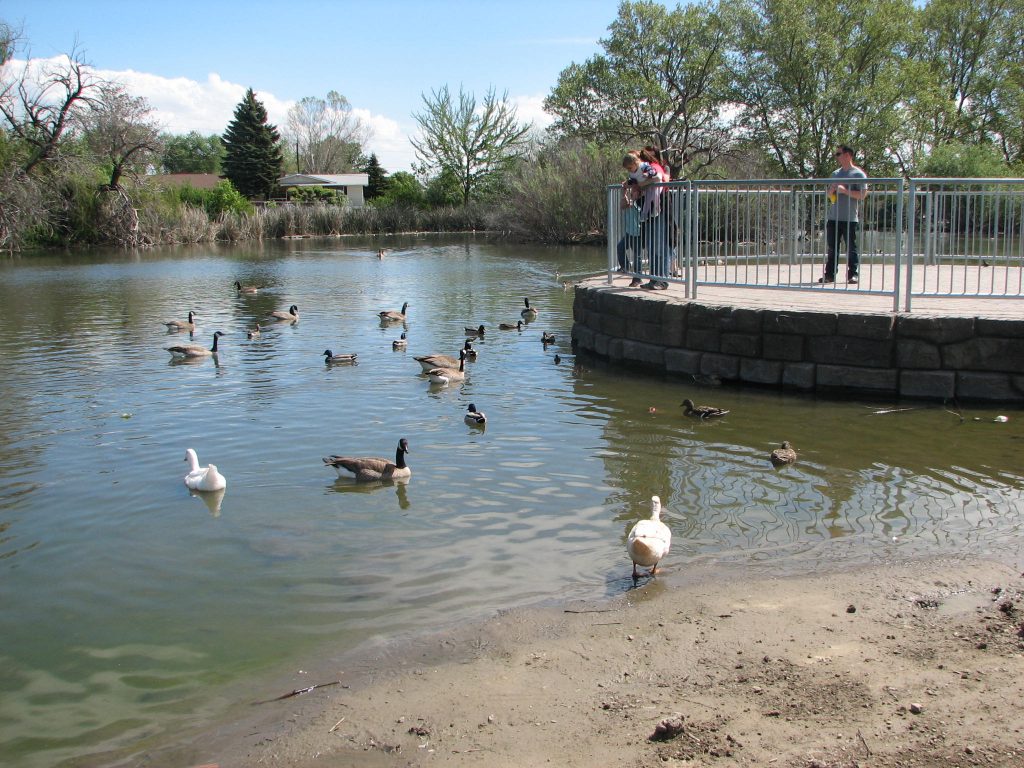 Observation Deck 2.JPG (1) - Wildlife Recreation and Coalition