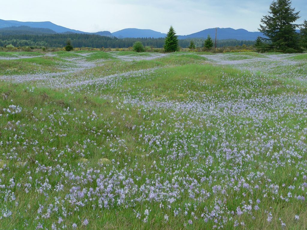 12 Months of WWRP: Natural Areas - Wildlife Recreation and Coalition