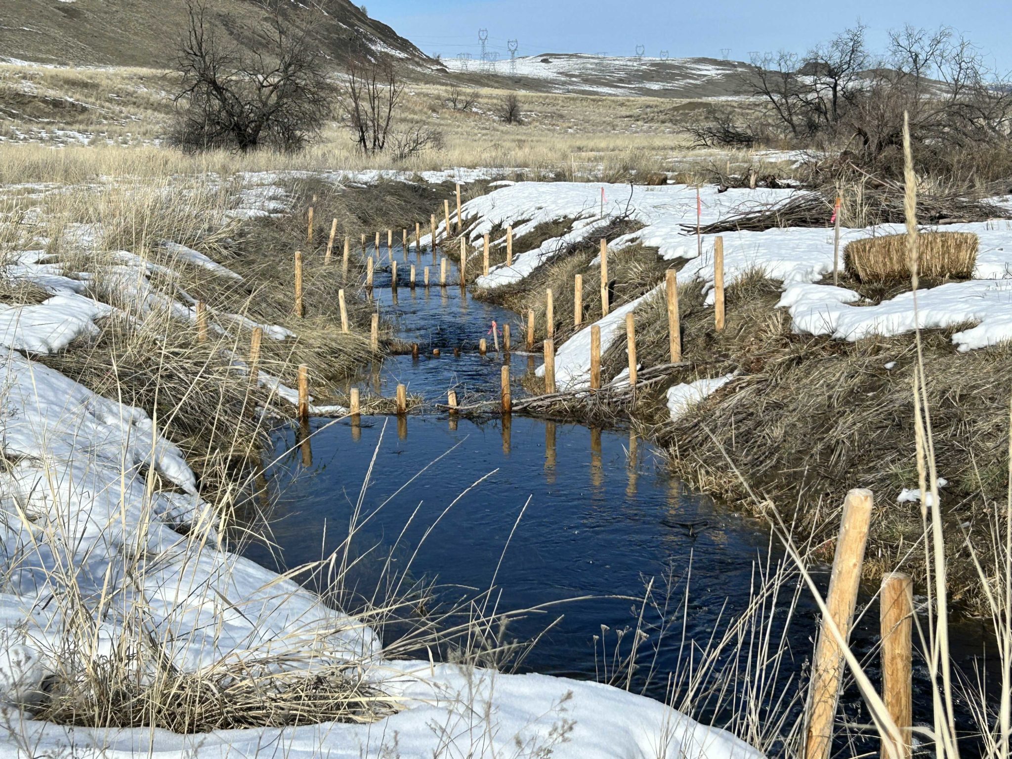 12 Months of WWRP: Riparian Protection - Wildlife Recreation and Coalition